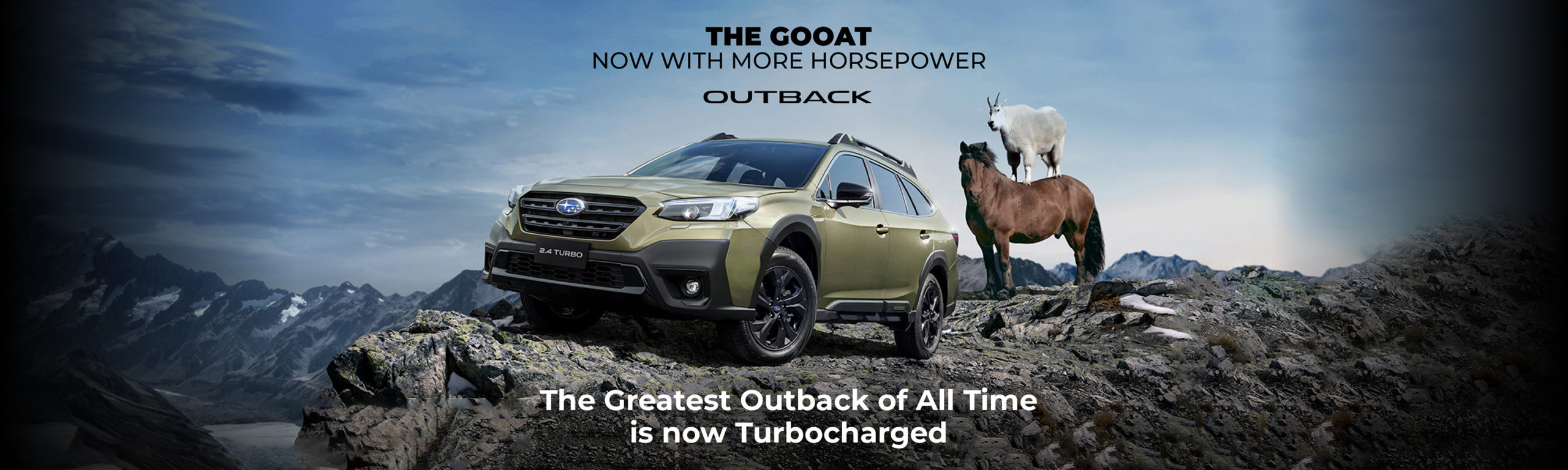 Subaru vehicle dealers | Nelson Dealership | Dayman's